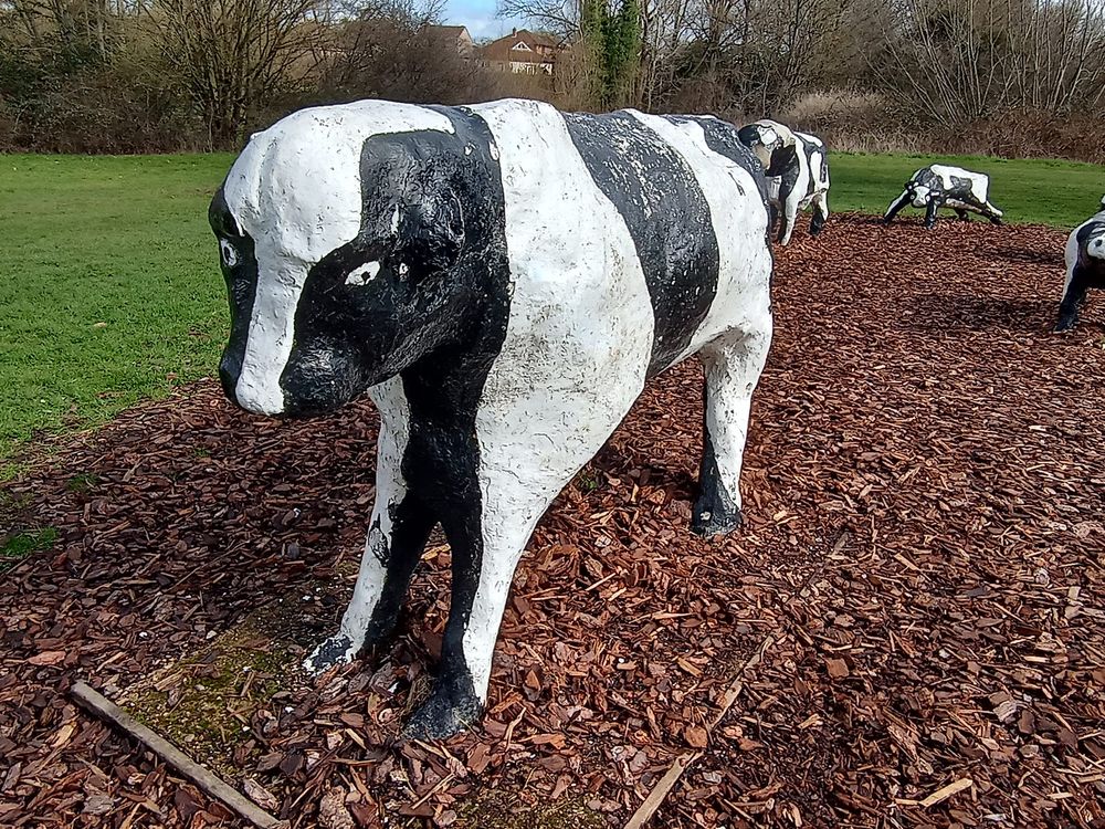 Concrete Cow